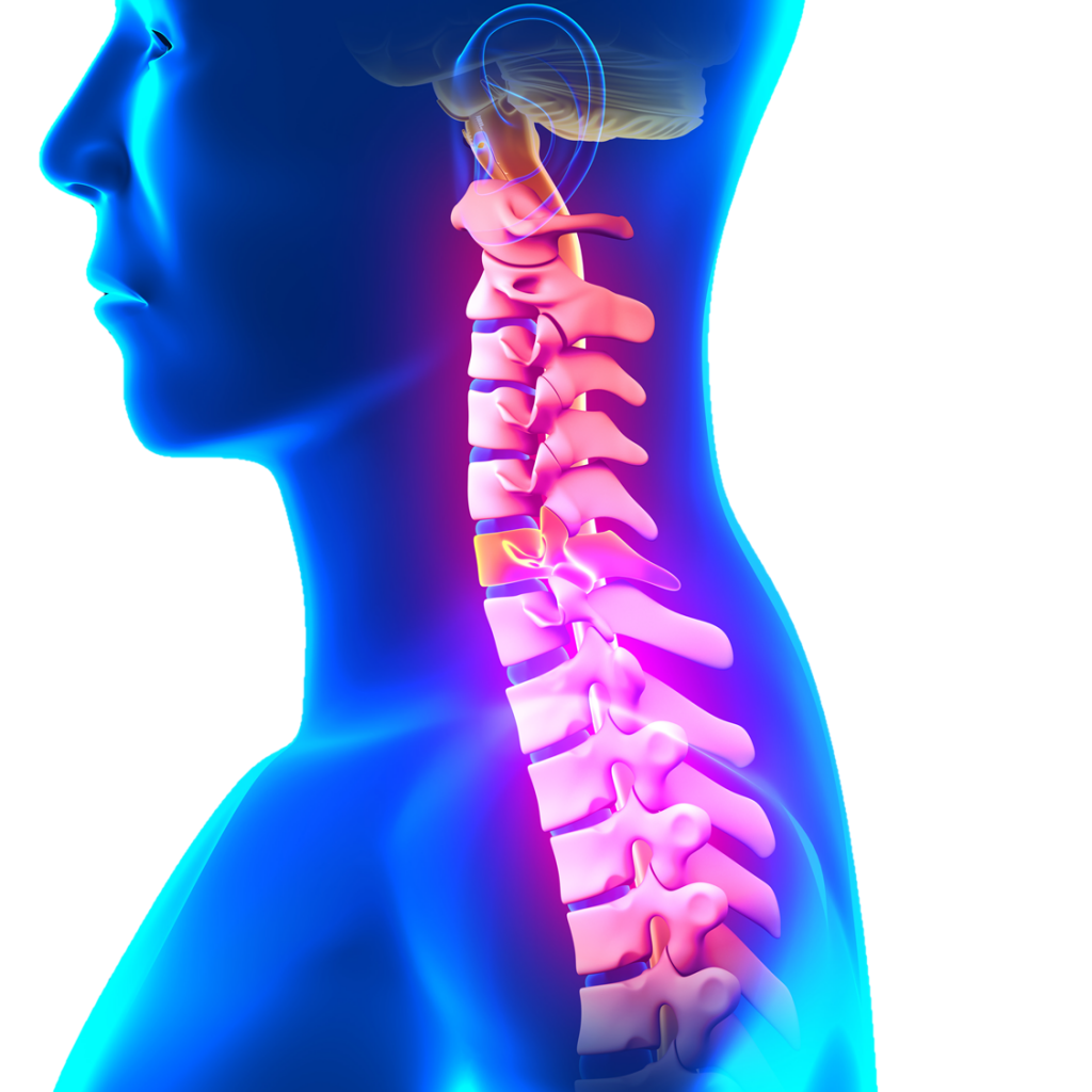 Neck pain – Spineology Chiropractic